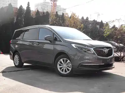 别克GL8 2017款 ES 28T 尊享型 国V 别克 3/7张图片大全_汽车外观图库_烟墨灰-汽车之家