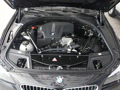 宝马5系 2017款 528Li 领先型 宝马 1/20张图片大全_汽车细节图库-汽车之家