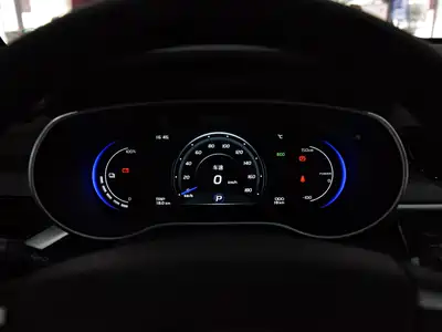 帝豪新能源 2018款 EV450 进取型 吉利汽车 9/31张图片大全_汽车内饰图库-汽车之家