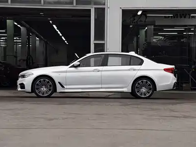 宝马5系 2019款 530Li 尊享型 M运动套装 宝马 4/7张图片大全_汽车外观图库-汽车之家