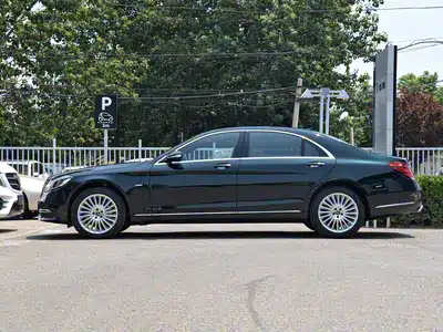 奔驰S级 2020款 S 350 L 商务型 臻藏版 奔驰 4/19张图片大全_汽车外观图库-汽车之家