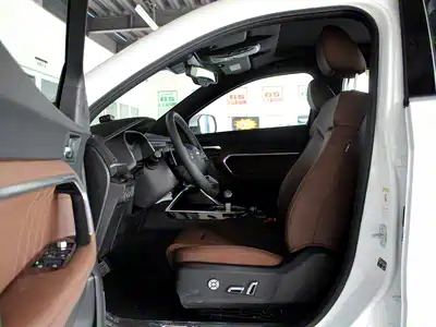 哈弗H6 2017款 蓝标 1.3T 自动两驱智尚型 哈弗 1/24张图片大全_汽车座椅图库-汽车之家