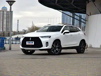 魏牌 P8 2018款 2.0T 旗舰型 魏牌 7/36张图片大全_汽车外观图库-汽车之家