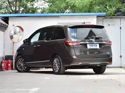 别克GL8 2020款 陆上公务舱 652T 尊贵型 别克 5/7张图片大全_汽车外观图库_牛津棕-汽车之家