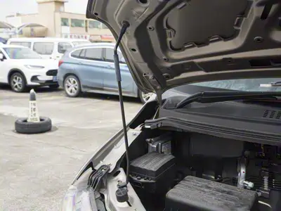 菱智 2023款 M5 1.6L 舒适型 7座 东风风行 10/64张图片大全_汽车细节图库-汽车之家