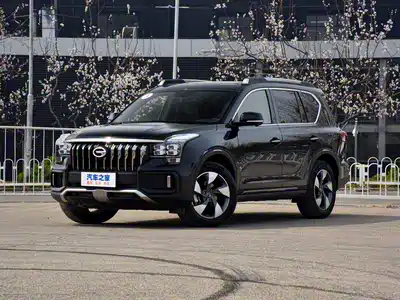 传祺GS8 2020款 GS8S 390T 两驱豪华智联版 广汽传祺 1/7张图片大全_汽车外观图库_典雅黑-汽车之家