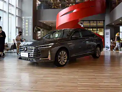 传祺GA8 2020款 390T 至尊版 广汽传祺 8/35张图片大全_汽车外观图库-汽车之家