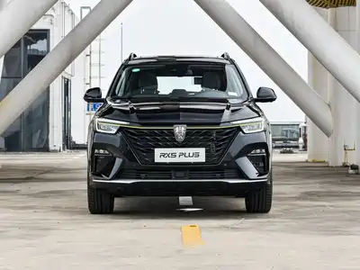 荣威RX5 2020款 PLUS 300TGI 自动Ali国潮荣麟版 荣威 2/7张图片大全_汽车外观图库_玄武黑-汽车之家