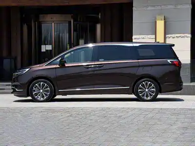 别克GL8 2020款 ES陆尊 653T 智慧旗舰型 别克 4/7张图片大全_汽车外观图库_巧克力褐-汽车之家