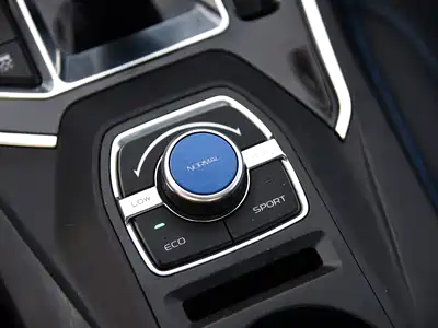 帝豪新能源 2018款 EV450 尊贵型 吉利汽车 10/75张图片大全_汽车内饰图库-汽车之家