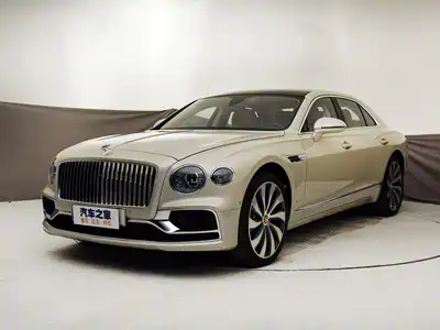 飞驰 2020款 6.0T W12 标准版 宾利 1/7张图片大全_汽车外观图库_White Sand-汽车之家