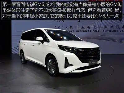 传祺M6 2019款 270T 自动尊享版（七座）国V 广汽传祺 1/16张图片大全_汽车特点图库-汽车之家