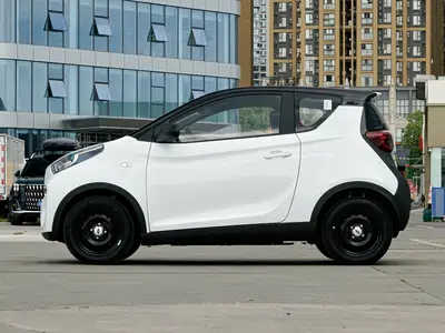 小蚂蚁 2025款 251km 喜爱版 25.05kWh 奇瑞 4/8张图片大全_汽车外观图库_黑色/古得白-汽车之家