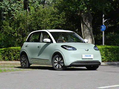 五菱缤果 2024款 410km 灵犀尊享款 五菱汽车 3/29张图片大全_汽车外观图库-汽车之家