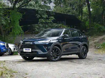 哈弗H6S 2022款 2.0T 两驱智跑版 哈弗 8/21张图片大全_汽车外观图库-汽车之家