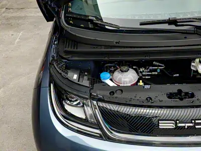 海豚 2023款 401km 骑士版 比亚迪 3/235张图片大全_汽车细节图库-汽车之家