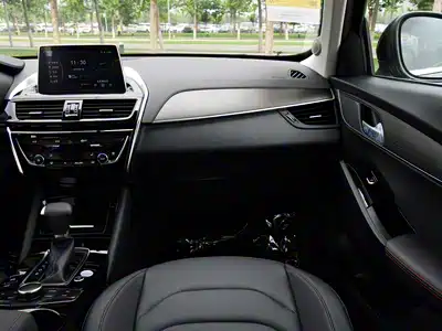 宝沃BX5 2020款 20TGDI 自动两驱先锋型 宝沃 4/33张图片大全_汽车内饰图库-汽车之家