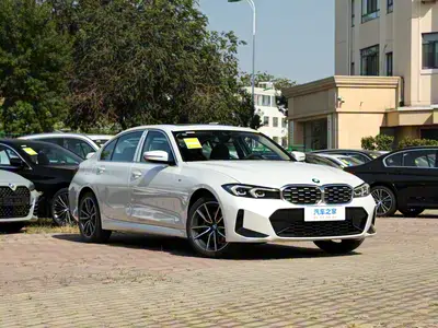 宝马3系 2024款 325Li M运动套装 宝马 10/28张图片大全_汽车外观图库-汽车之家