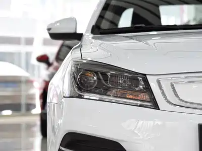 帝豪新能源 2018款 EV450 进取型 吉利汽车 8/60张图片大全_汽车细节图库-汽车之家