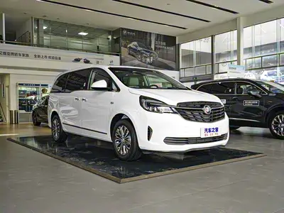 别克GL8 2020款 陆上公务舱 652T 豪华型 别克 3/7张图片大全_汽车外观图库_雪域白-汽车之家