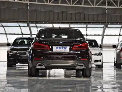 宝马5系 2019款 525Li M运动套装 宝马 6/7张图片大全_汽车外观图库_巴西棕-汽车之家