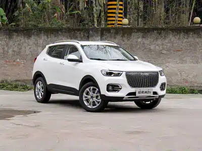 哈弗H2s 2018款 1.5T 手动风尚型 哈弗 3/8张图片大全_汽车外观图库-汽车之家