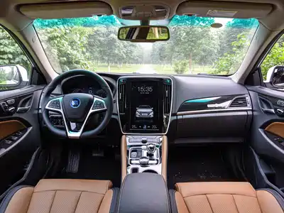 秦新能源 2018款 秦EV450 智联尊尚型 比亚迪 1/55张图片大全_汽车内饰图库-汽车之家