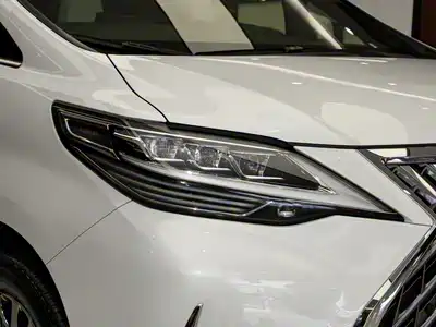 雷克萨斯LM 2020款 300h 七座隽雅版 雷克萨斯 11/55张图片大全_汽车细节图库-汽车之家