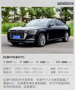 红旗H9 2020款 2.0T 智联旗畅版 红旗 7/42张图片大全_汽车特点图库-汽车之家