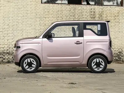 熊猫 2025款 熊猫mini 210km 元气熊 吉利银河 4/8张图片大全_汽车外观图库_噗噗粉-汽车之家