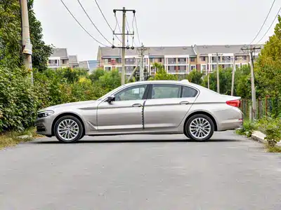 宝马5系 2019款 530Li 领先型 豪华套装 宝马 4/7张图片大全_汽车外观图库-汽车之家