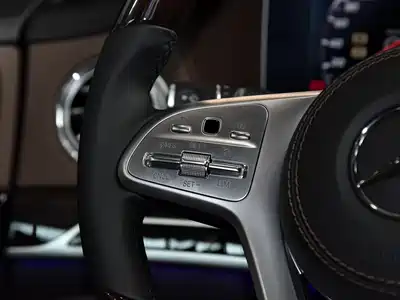 奔驰S级 2019款 S 350 L 尊贵型 奔驰 6/43张图片大全_汽车内饰图库-汽车之家