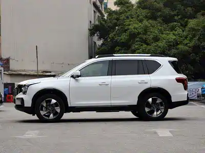 传祺GS8 2020款 GS8S 390T 两驱豪华智联版 广汽传祺 4/7张图片大全_汽车外观图库_珍珠白-汽车之家