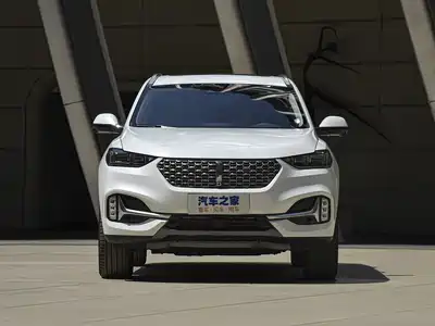 魏牌 VV6 2021款 2.0T 两驱智行+ 魏牌 9/21张图片大全_汽车外观图库-汽车之家