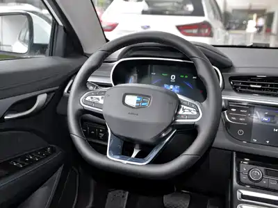 帝豪新能源 2019款 EV500 精英型超长续航版 吉利汽车 5/41张图片大全_汽车内饰图库-汽车之家