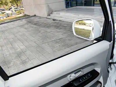 好运 2025款 启航版 弗迪42.3kWh 305km 6座 SRM鑫源 4/39张图片大全_汽车座椅图库-汽车之家