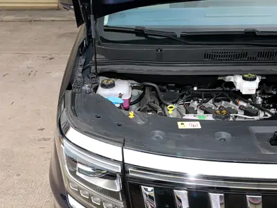 瑞风RF8 2024款 智聆版 2.0T 旗舰型 江淮瑞风 3/281张图片大全_汽车细节图库-汽车之家