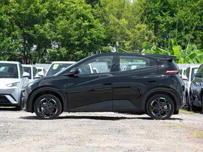 海鸥 2025款 305km 自由版 比亚迪 4/7张图片大全_汽车外观图库_极夜黑-汽车之家