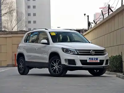 途观 2016款 300TSI 自动两驱豪华版 大众 3/7张图片大全_汽车外观图库-汽车之家