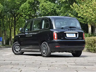 LEVC TX 2023款 TX5 纯电出行版 LEVC 5/14张图片大全_汽车外观图库-汽车之家