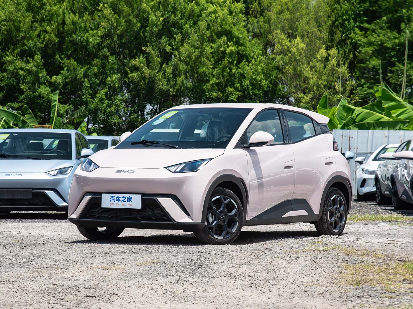 海鸥 2025款 智驾版 305km 活力版 比亚迪 1/1张图片大全_汽车外观图库-汽车之家