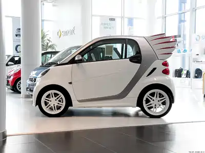 smart forjeremy 2013款 Jeremy Scott特别版 smart 4/11张图片大全_汽车外观图库-汽车之家